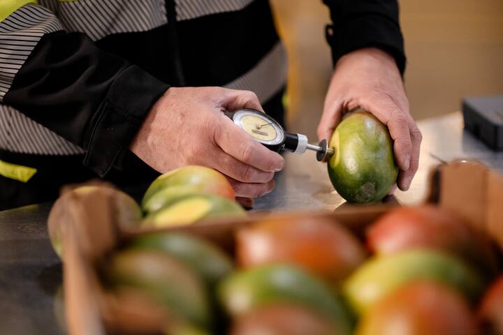 In-line process validation: the new standard for microbiological certainty