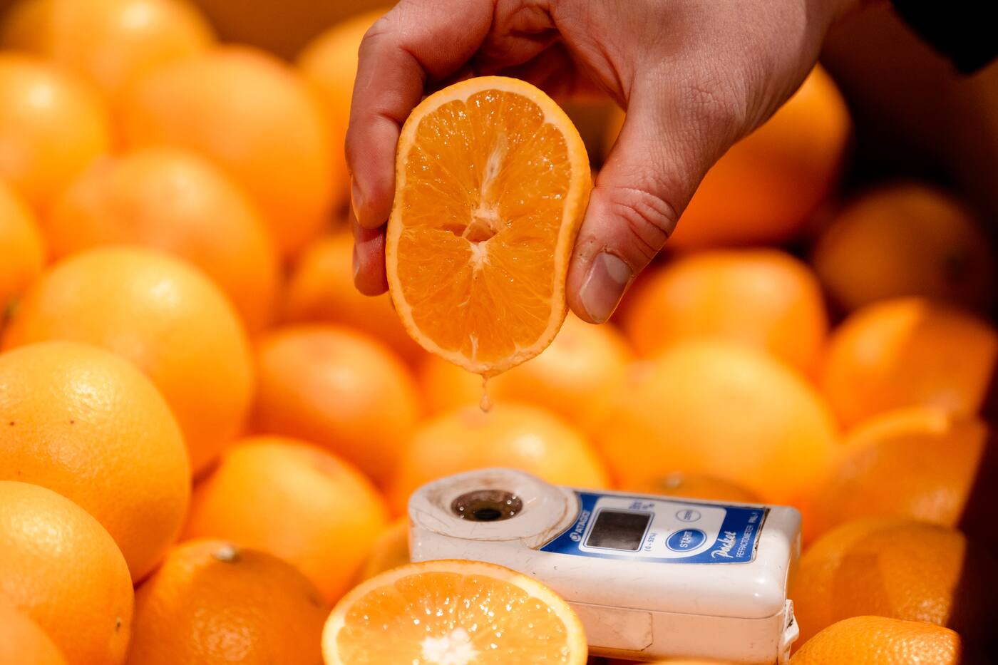 Quality Inspection of fruit and vegetables