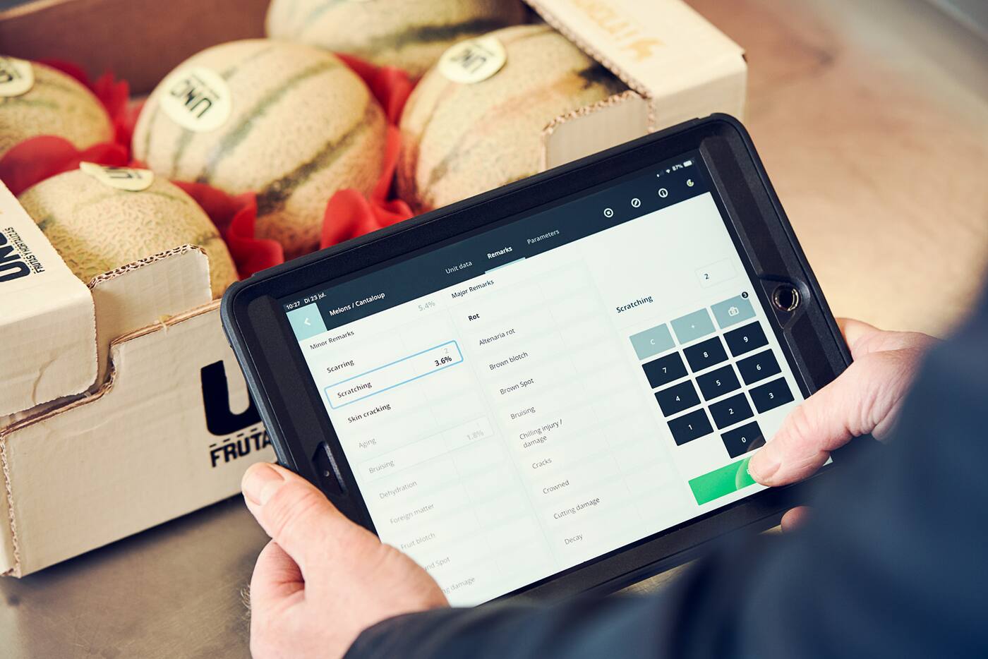 Cargo Surveys and Claims Inspections