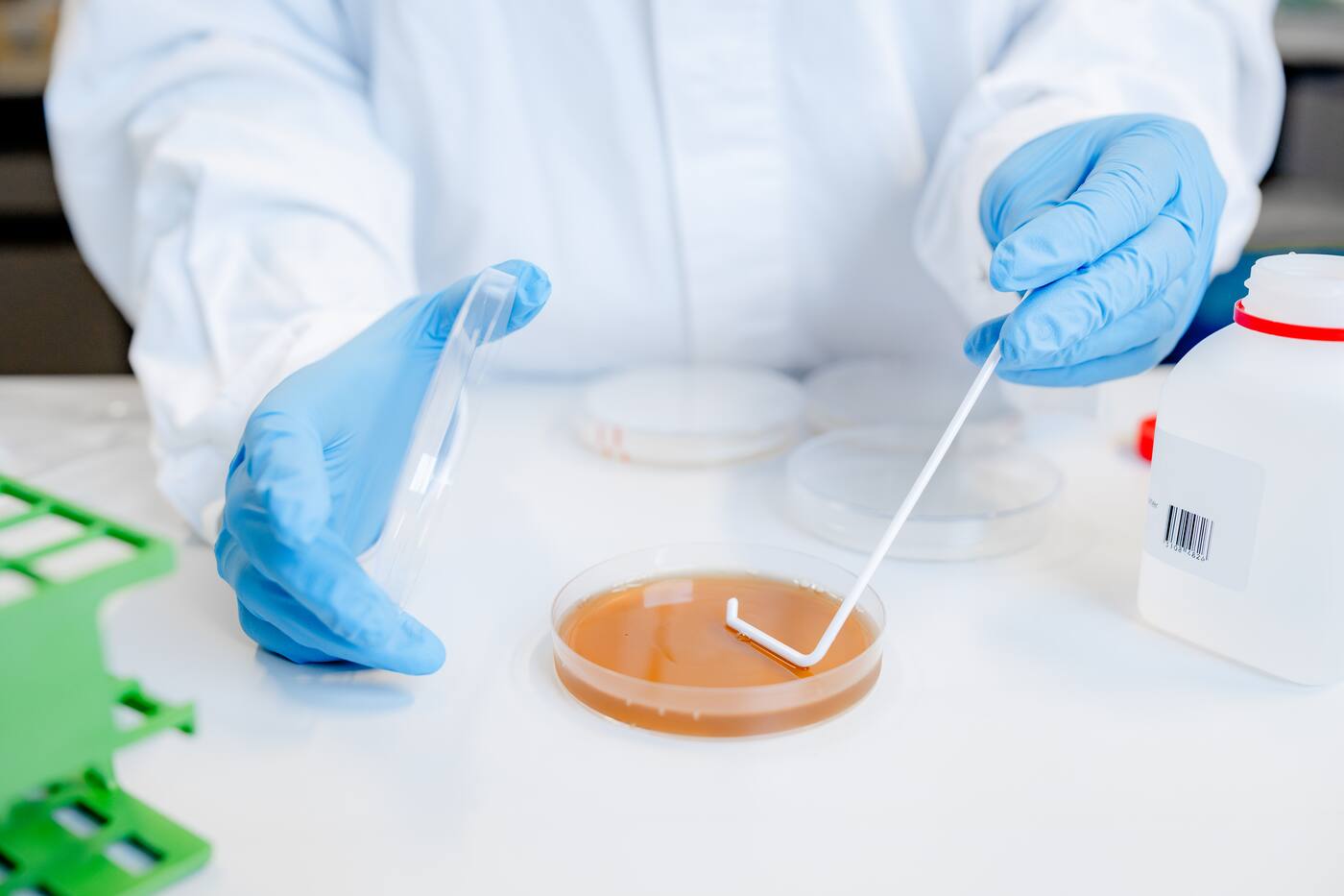 Masterclass microbiology